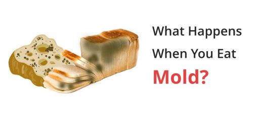 What happens When You Eat Mold? Symptoms and Treatments