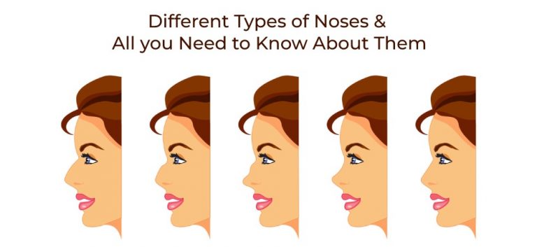 13 Types of Noses and All you Need to Know About Them