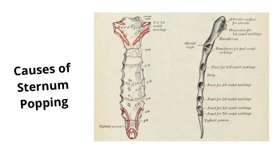 Sternum Popping: List of Causes, Symptoms, and Treatment